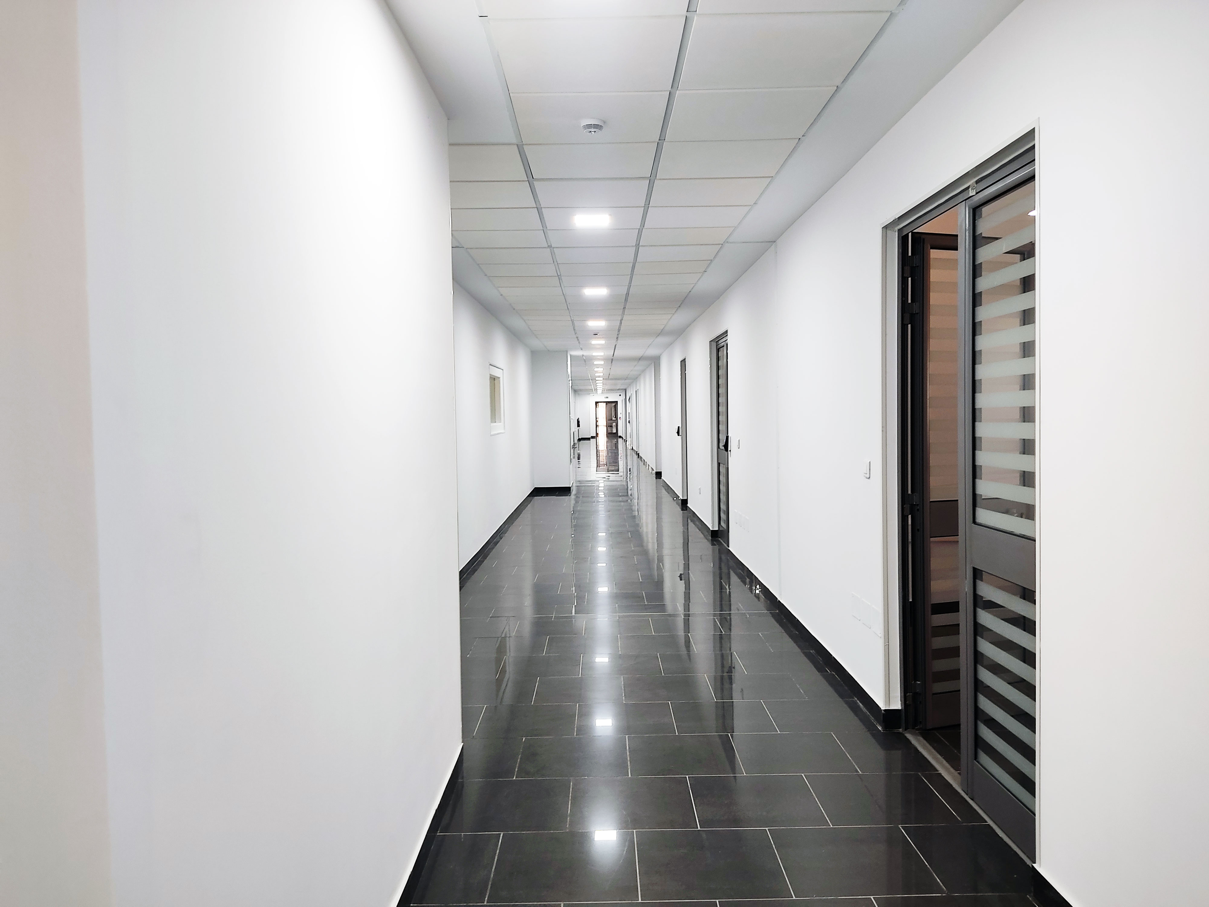 SEBN FEJJA | IDEZIGN